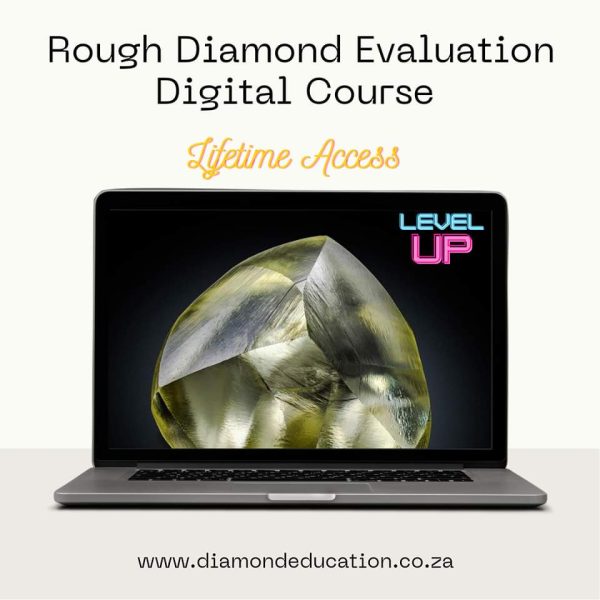 Rough Diamond Digital Course - Corlia Roberts | Institute of Diamonds